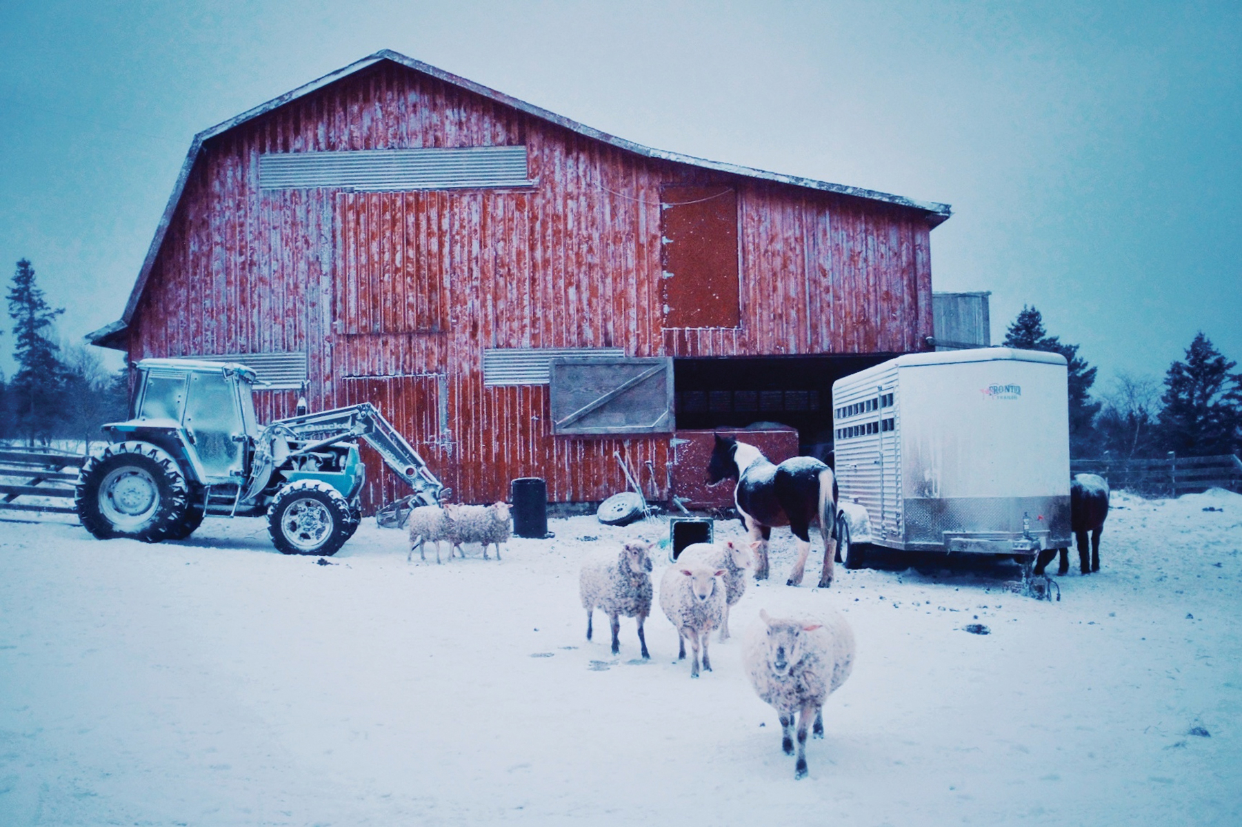 Cold Weather Terms for Winter Preparedness - Grit